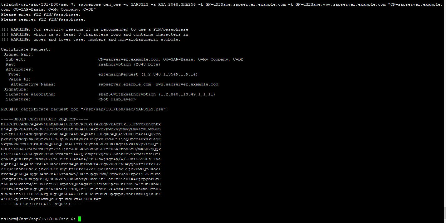 How To Sapgenpse Andy Niemann Andy Niemann Technology Services For Sap